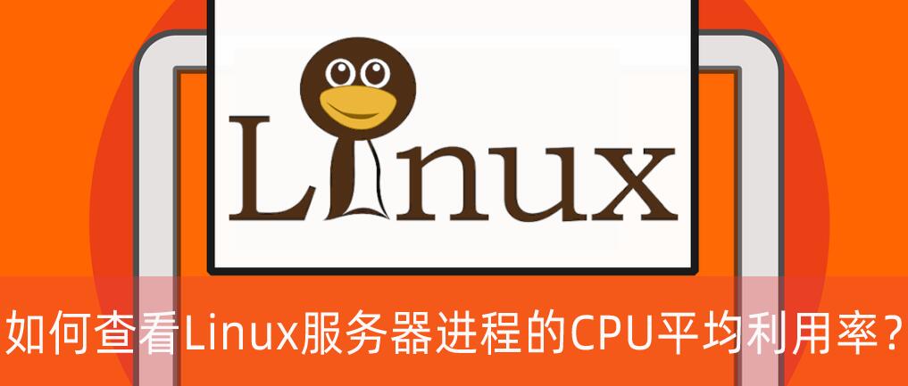 linux查看usr利用率,如何查看Linux服务器进程的CPU平均利用率？-CSDN博客